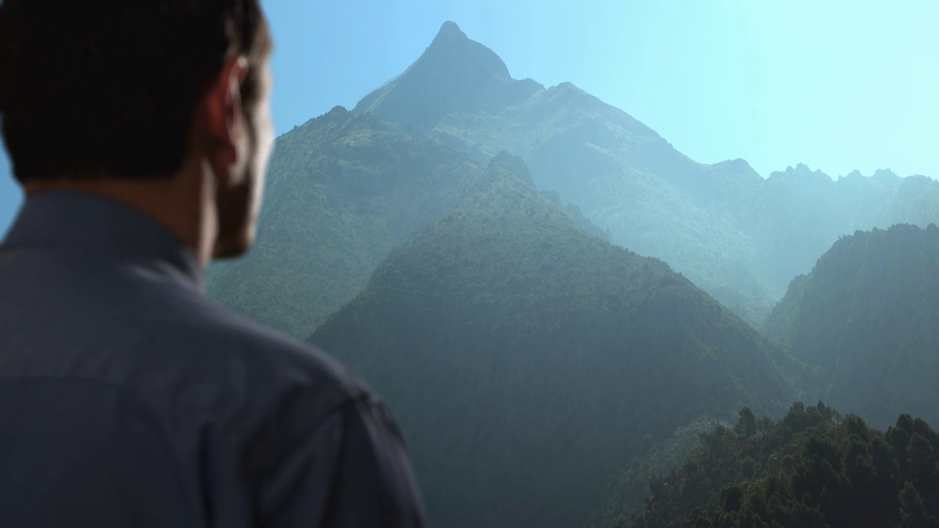 Looking for... - A CROOKED PATH